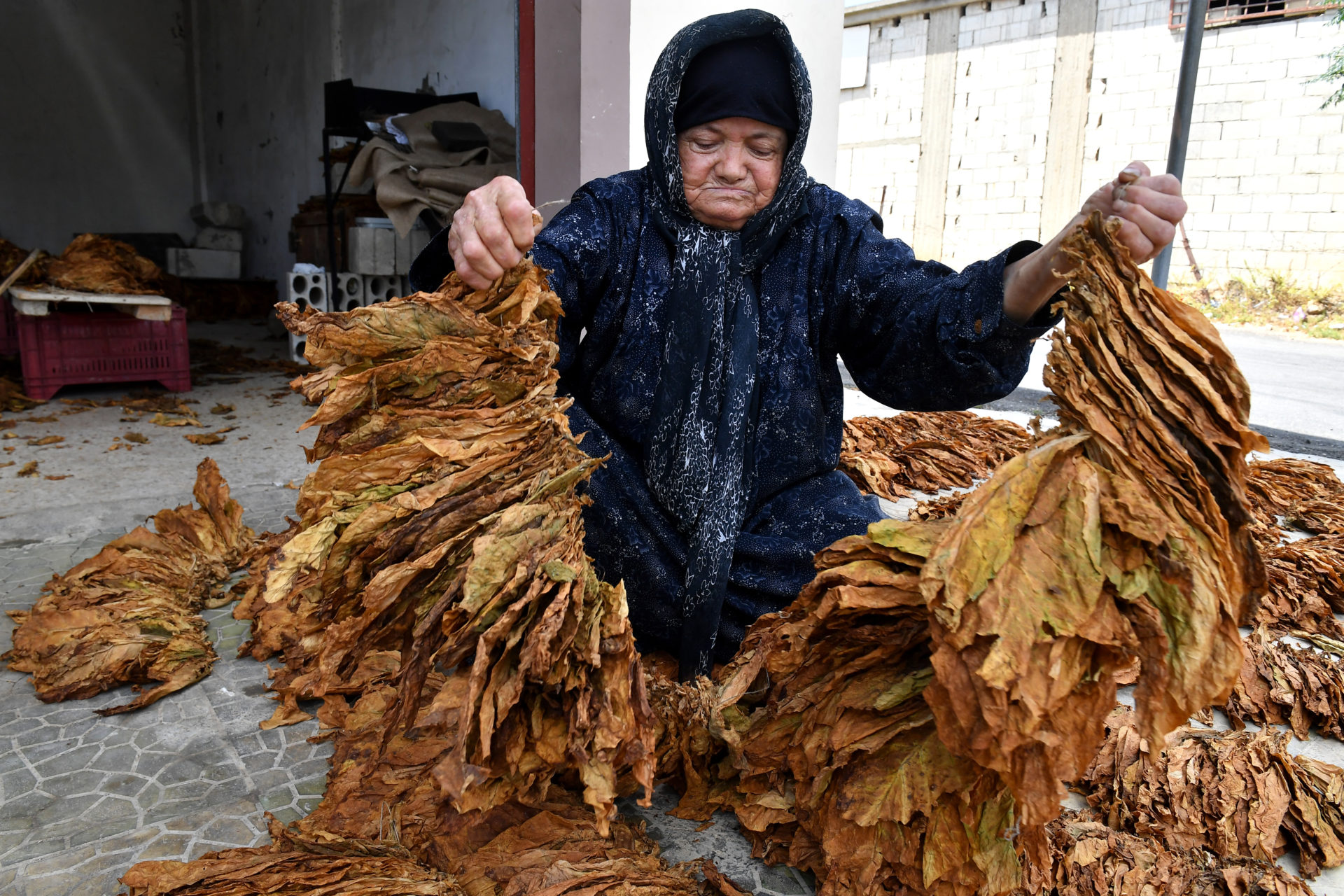 Toolkit for Conducting a Gender Audit in National Human Rights ...