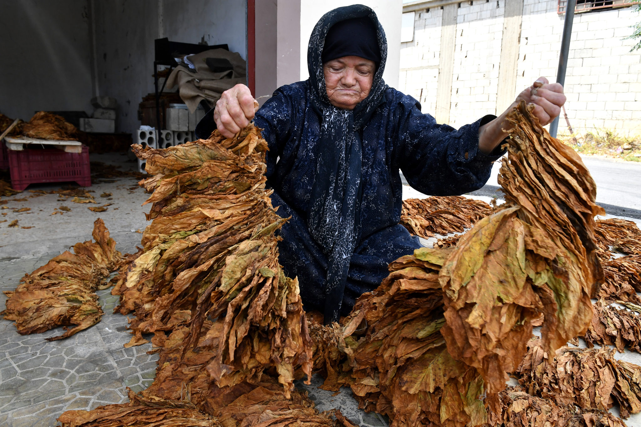 Toolkit for Conducting a Gender Audit in National Human Rights ...